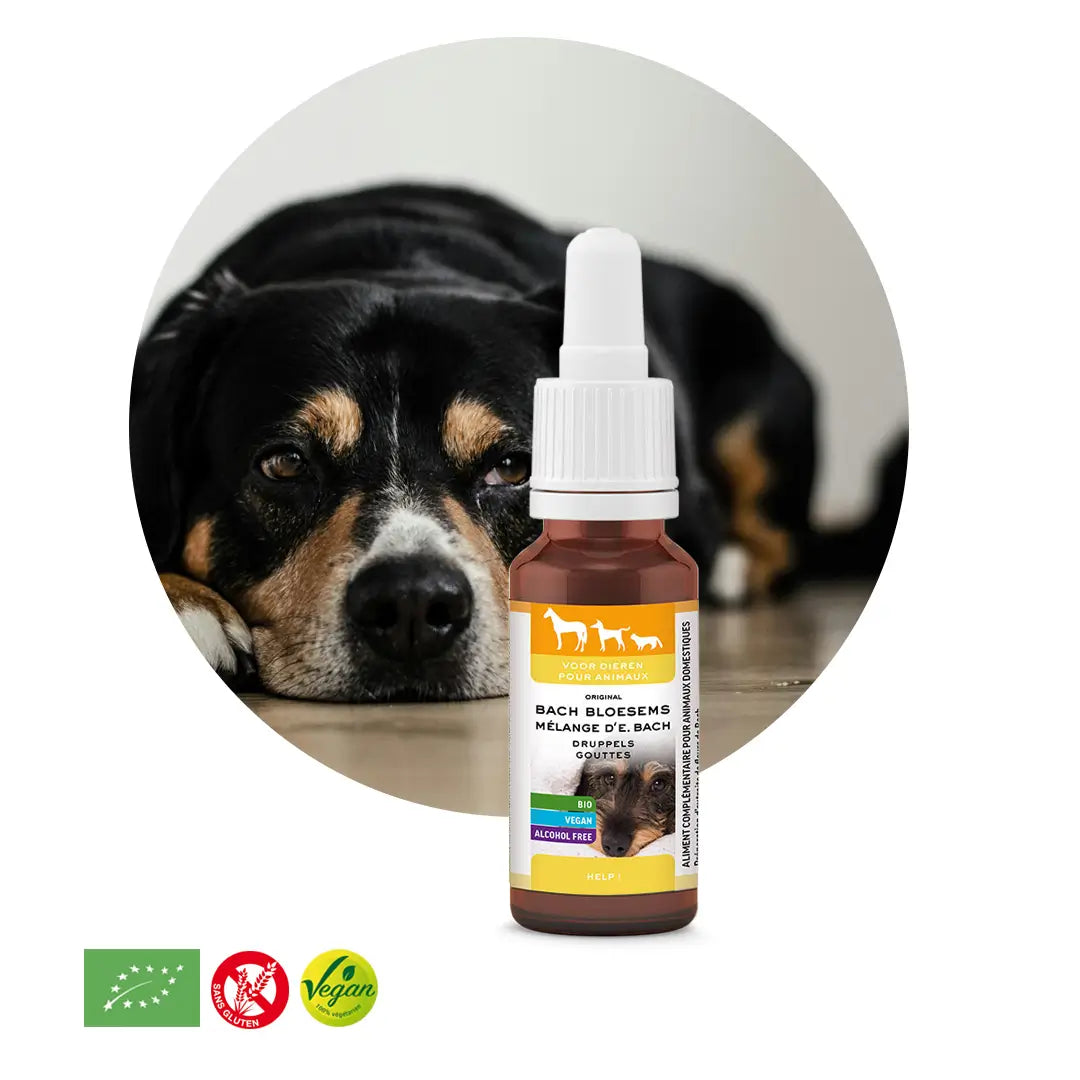 Elixir animaux urgence – Bioligo